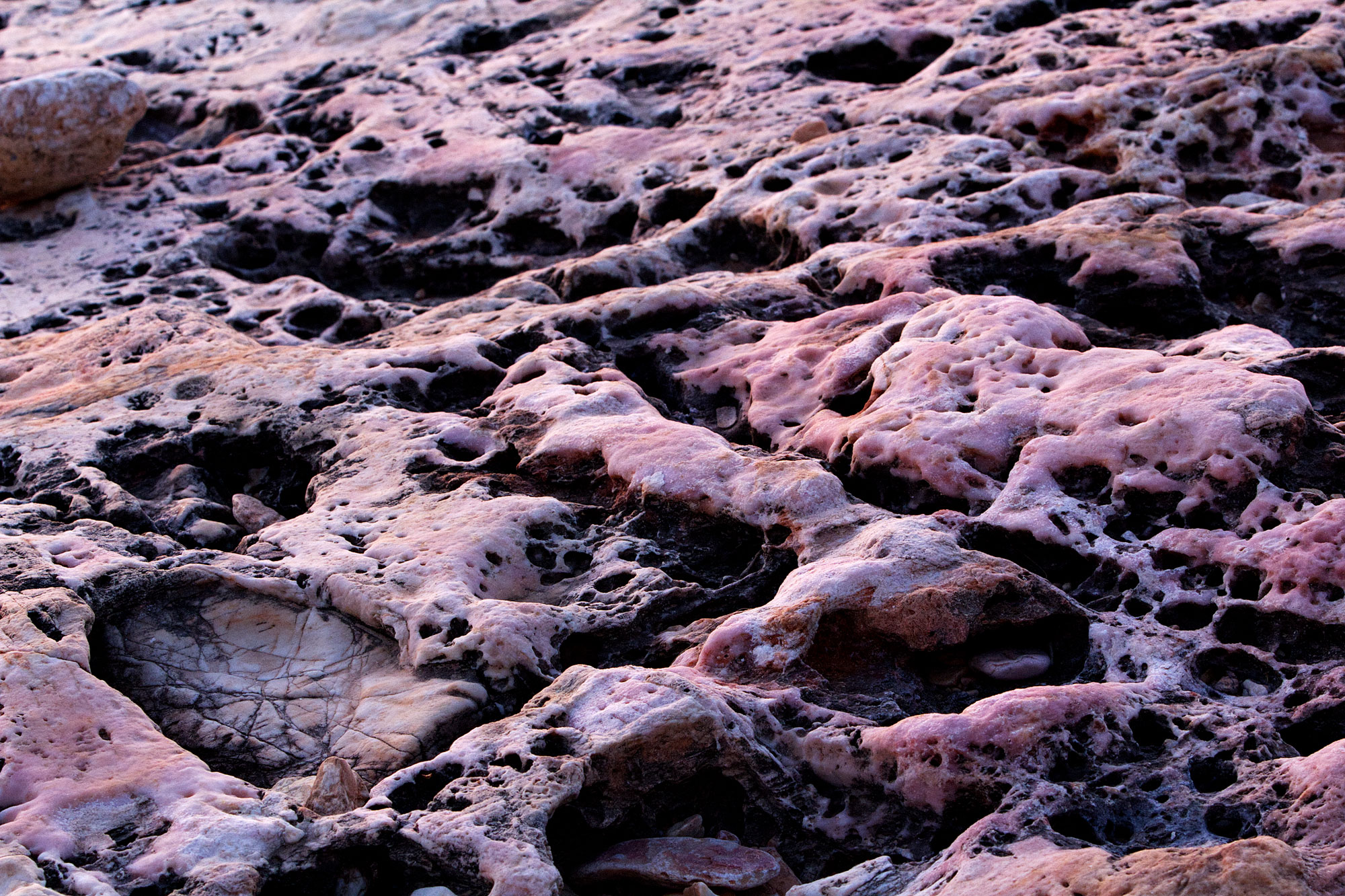 Après le succès remporté par la collection « Traits de caractère » Garo ...